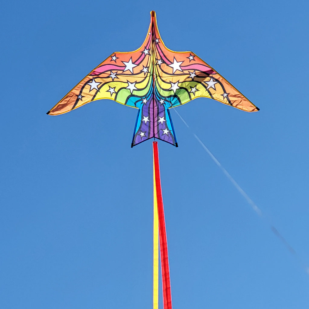 Thunderbird Kite - 7' Rainbow Stars – Fly It Port A