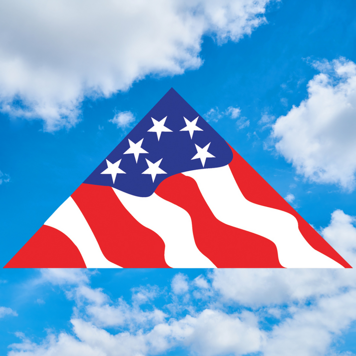 19ft Delta Kite - Patriotic – Fly It Port A