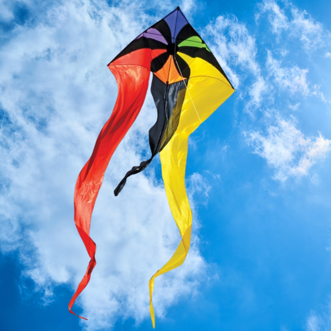 52" Wave Delta Kite - Rainbow Flux – Fly It Port A