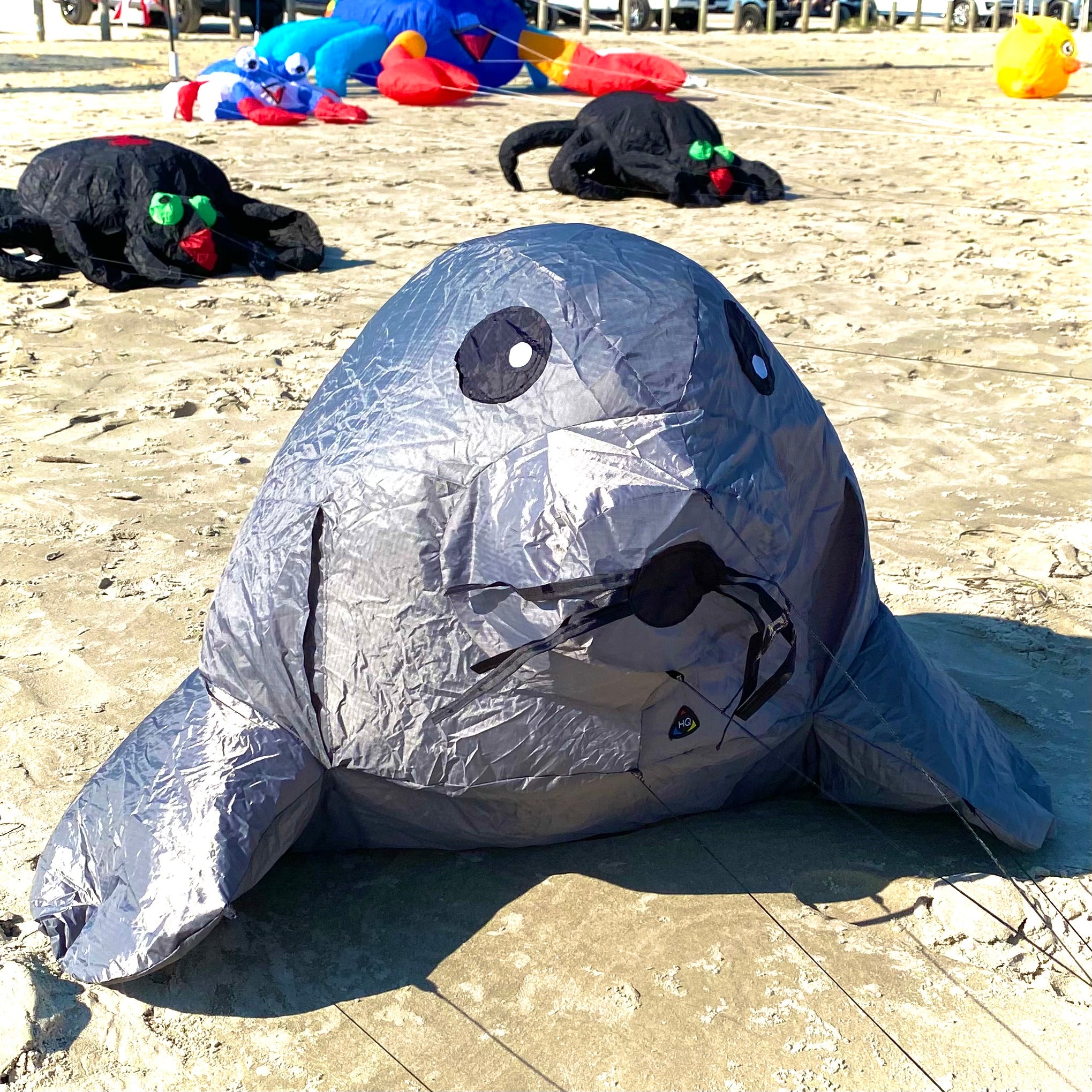 Bouncing Buddy - Seal – Fly It Port A