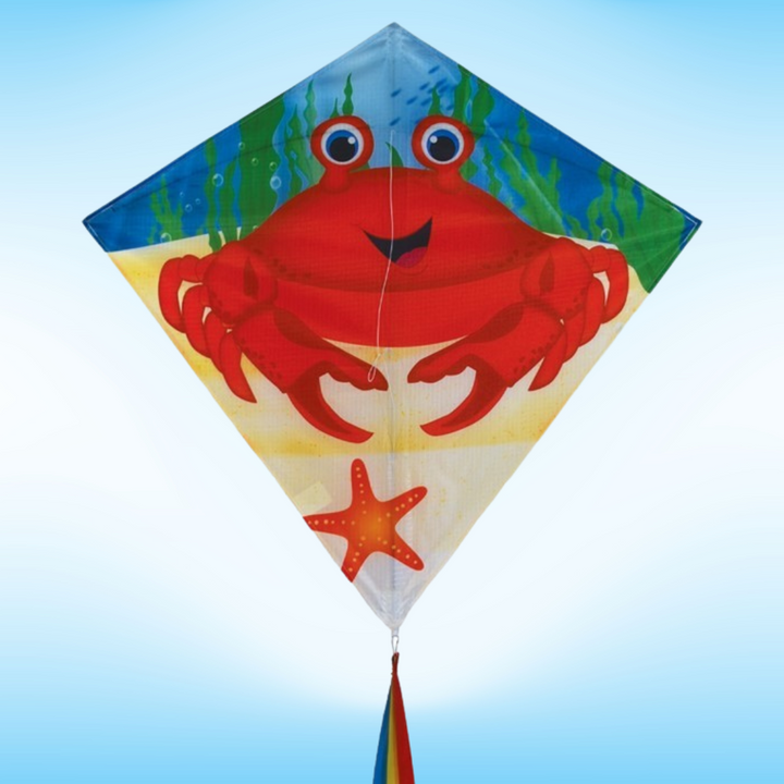 Diamond Kites – Fly It Port A
