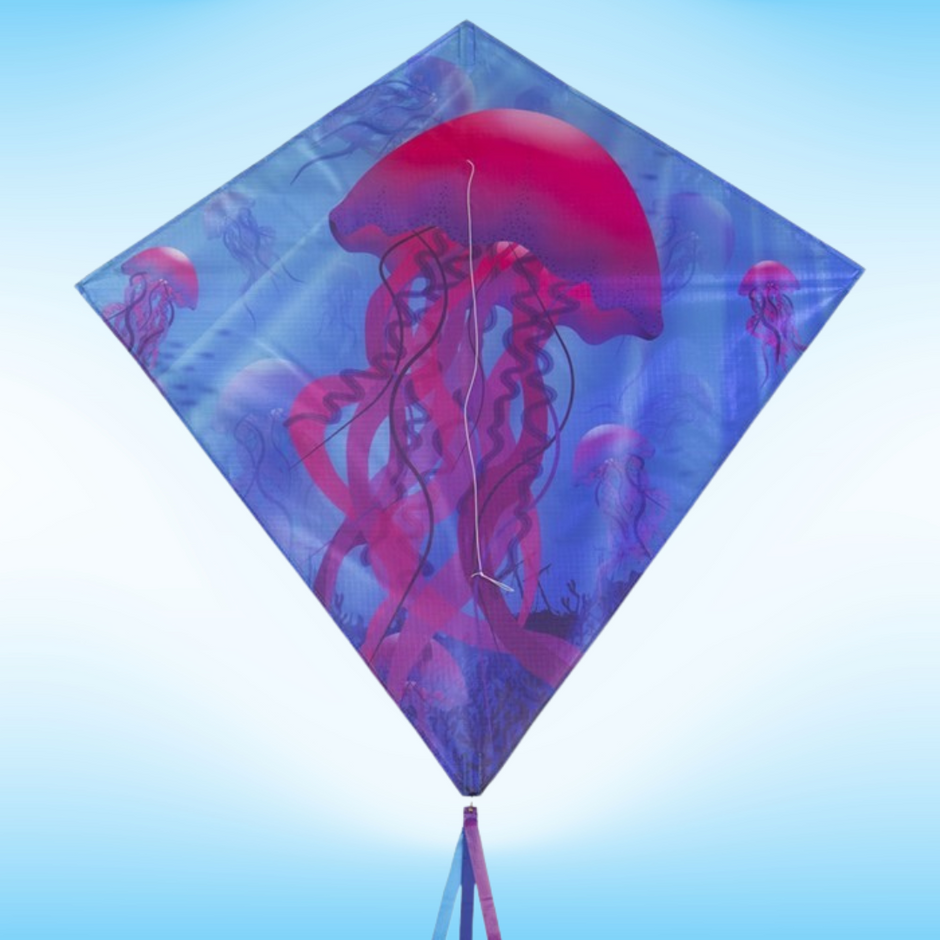 Diamond Kites – Fly It Port A